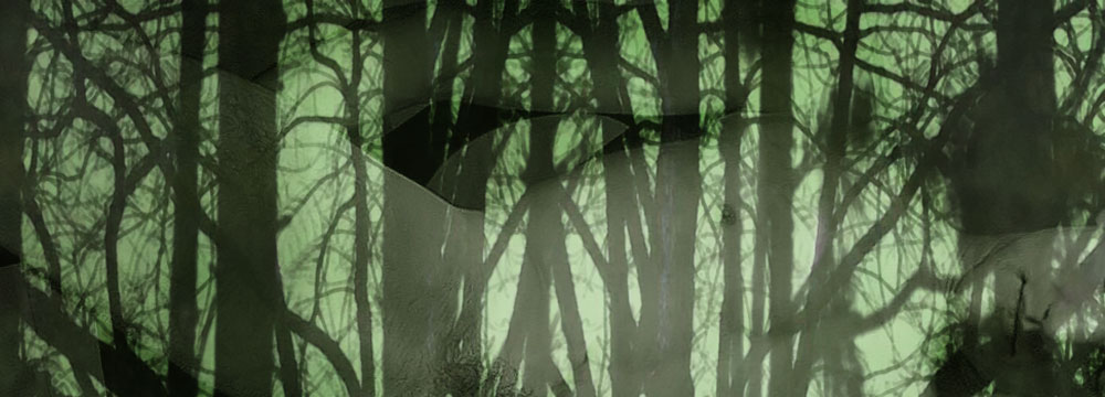 Bios – Men In Touch